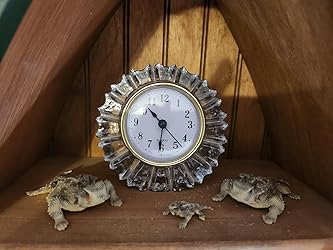 Amazon.com: SJT ENTERPRISES, INC. 1-Pack 2.5" Craft White Clock Insert ...