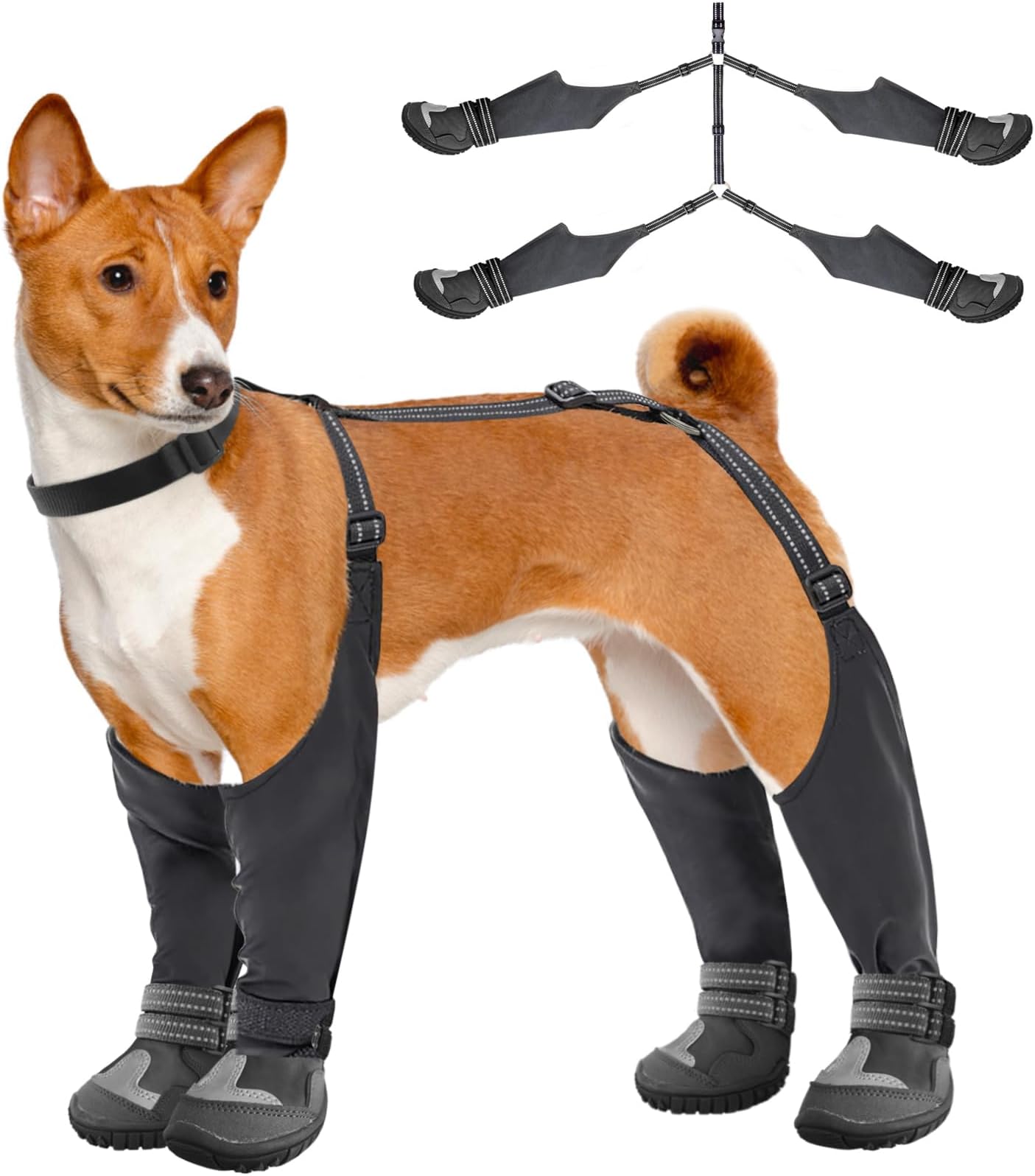 Amazon.com : Idepet Dog Suspender Boots, Canada Pooch Tall Dog Boots ...
