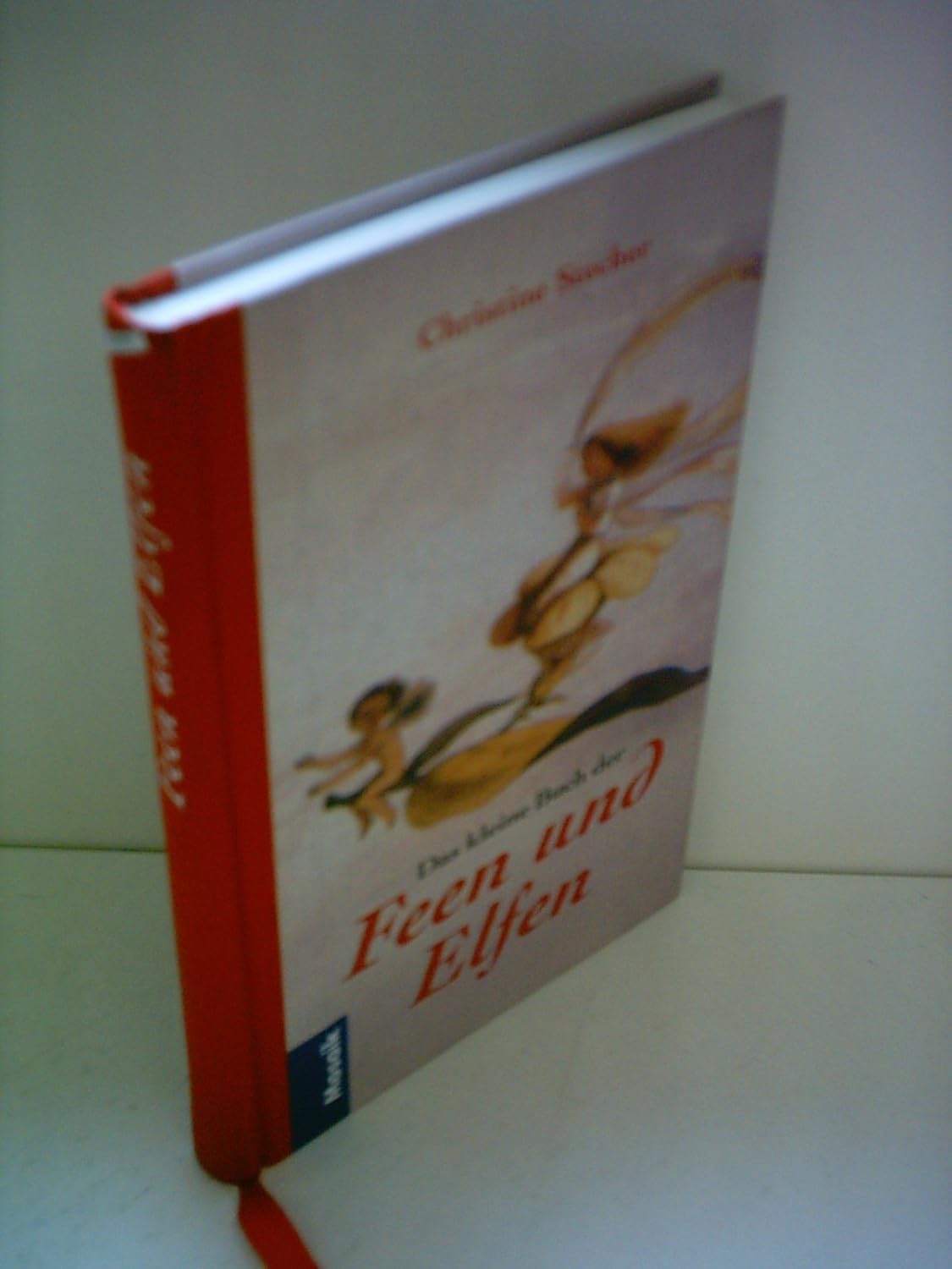 Das kleine Buch der Feen und Elfen : Stecher, Christine: Amazon.de: Bücher