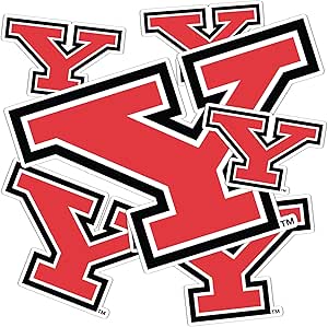 Amazon.com: Desert Cactus Youngstown State University Sticker YSU ...