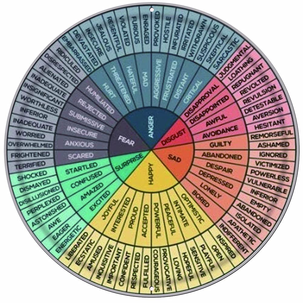 Buy NADOBA Feelings Chart Color Wheel - Mood Meter for Self Awareness ...