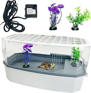 Setting Up A Musk Turtle Tank: Creating The Perfect Habitat | PetShun