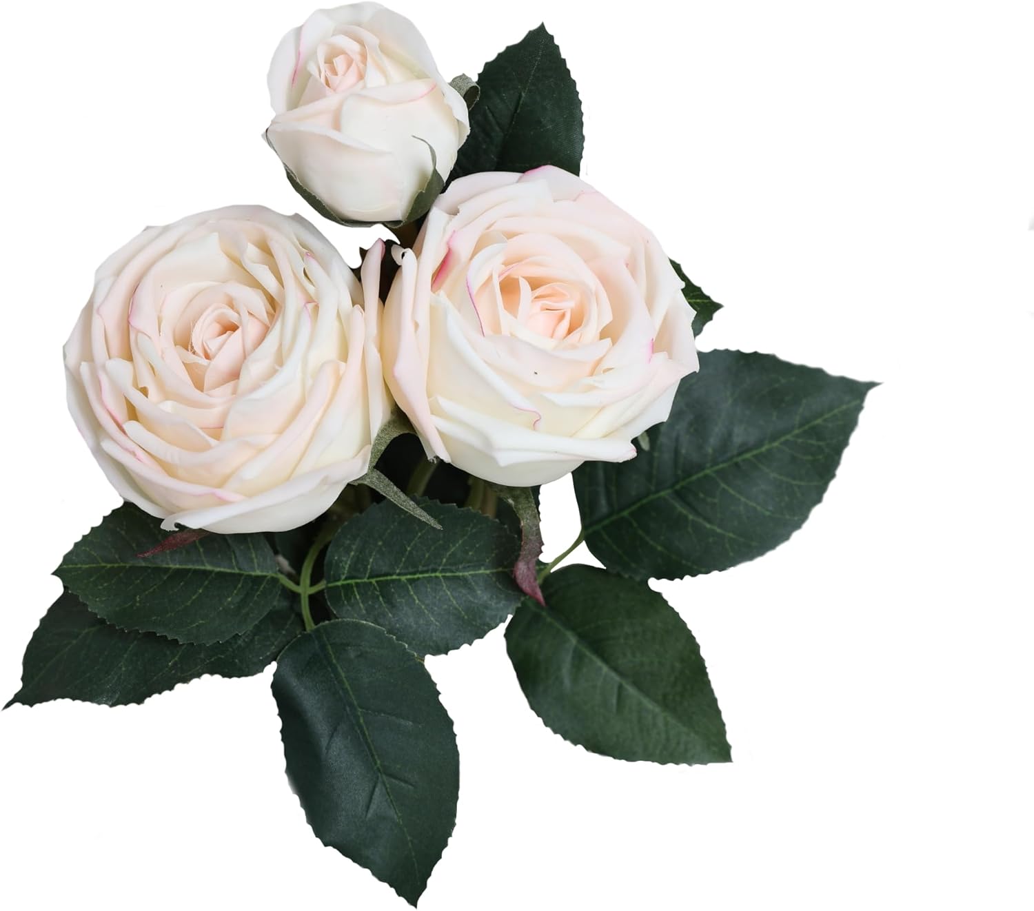 Amazon.com: Angel Isabella Pack of 2-Elegant 28.75"-Real Touch English ...