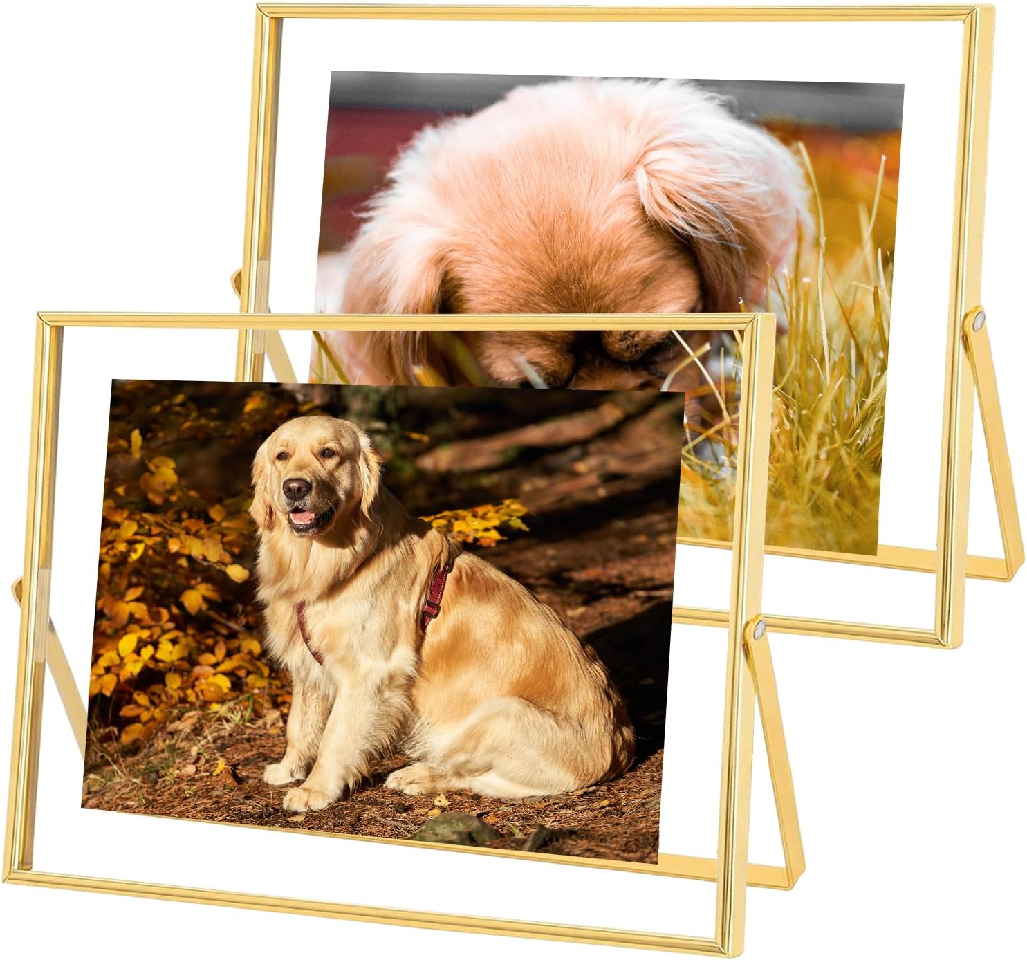 Amazon.com - Patouque 4x6 Gold Floating Picture Frame Set of three ...