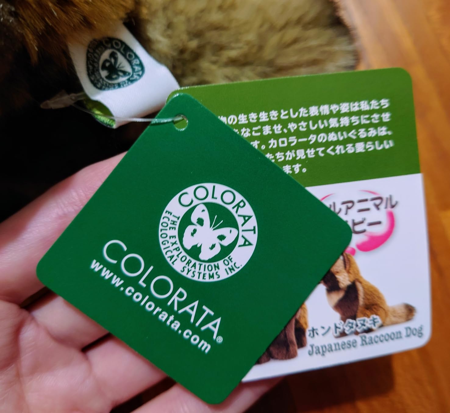 Amazon.co.jp: [COLORATA] カロラータ ホンドタヌキ ぬいぐるみ (リアルアニマルベイビー/やさしい手触り) リアル ...