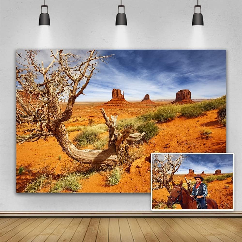 Amazon.com : A37mieeooopa Uluru Australian Outback 5x7ft Photography ...