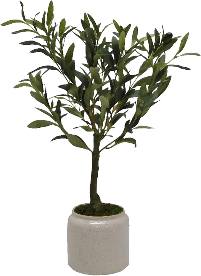 Amazon.com: Elements Olive Tree in Aged Teracotta Pot for Bathroom ...