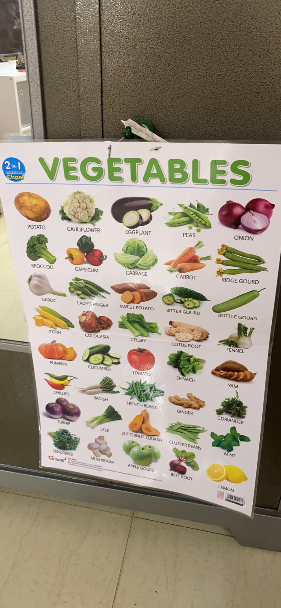 2 IN 1 FRUITS AND VEGETABLES Educational chart SAHIL : GOWOO: Amazon.in ...