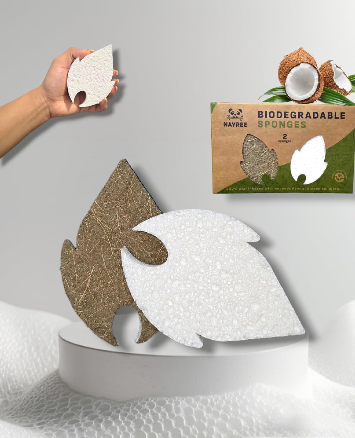 Amazon.com: nayree Eco-Friendly 2-Pack Biodegradable Sponges ...