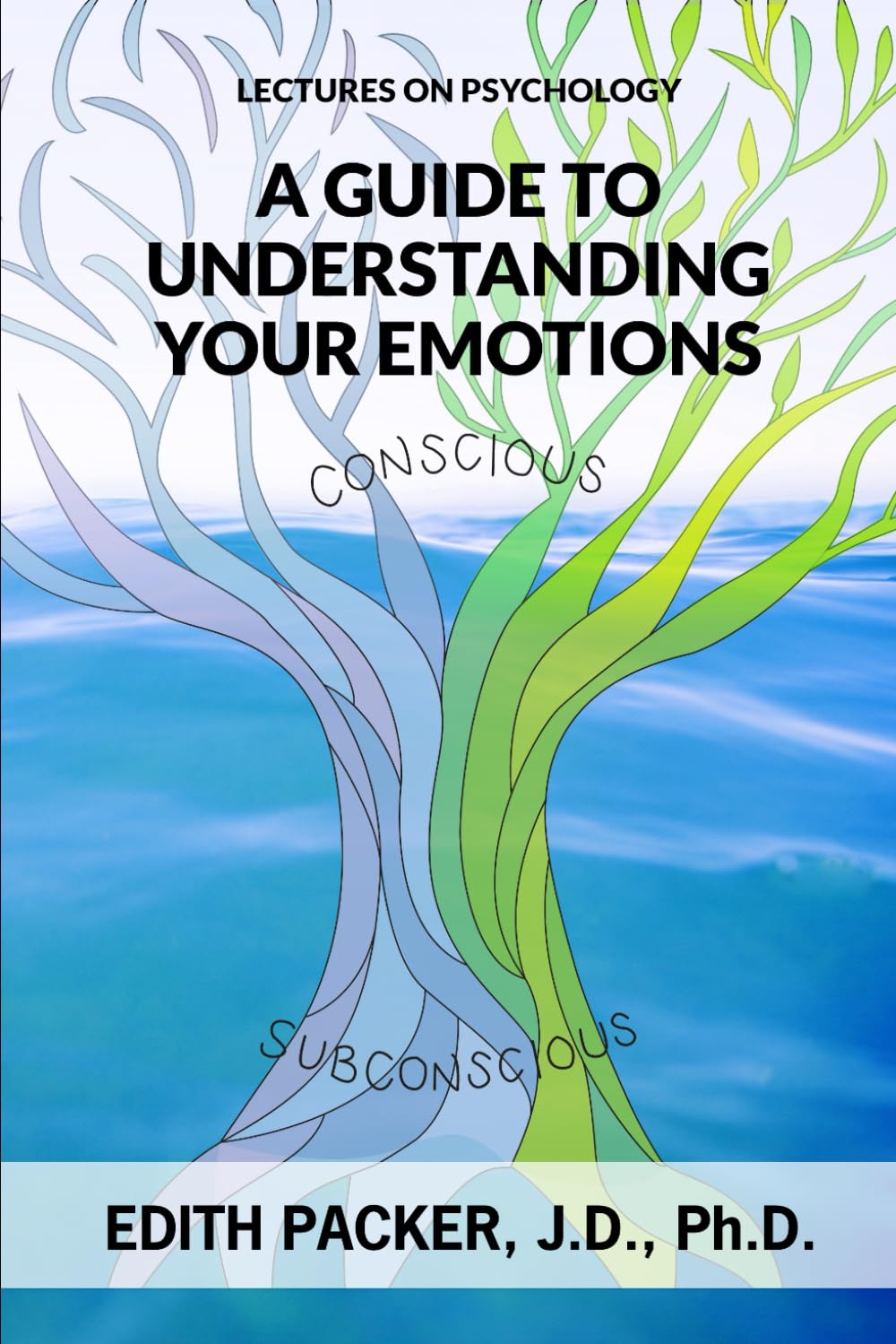 Lectures on Psychology: A Guide to Understanding Your Emotions: Packer ...