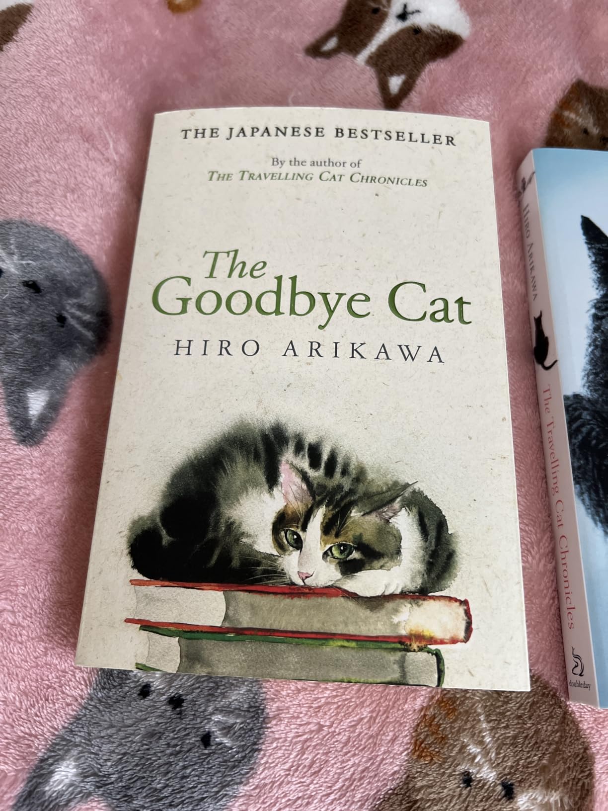 The Goodbye Cat: The uplifting tale of wise cats and their humans by ...