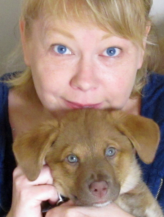 Amazon.com: Amy Rice: books, biography, latest update