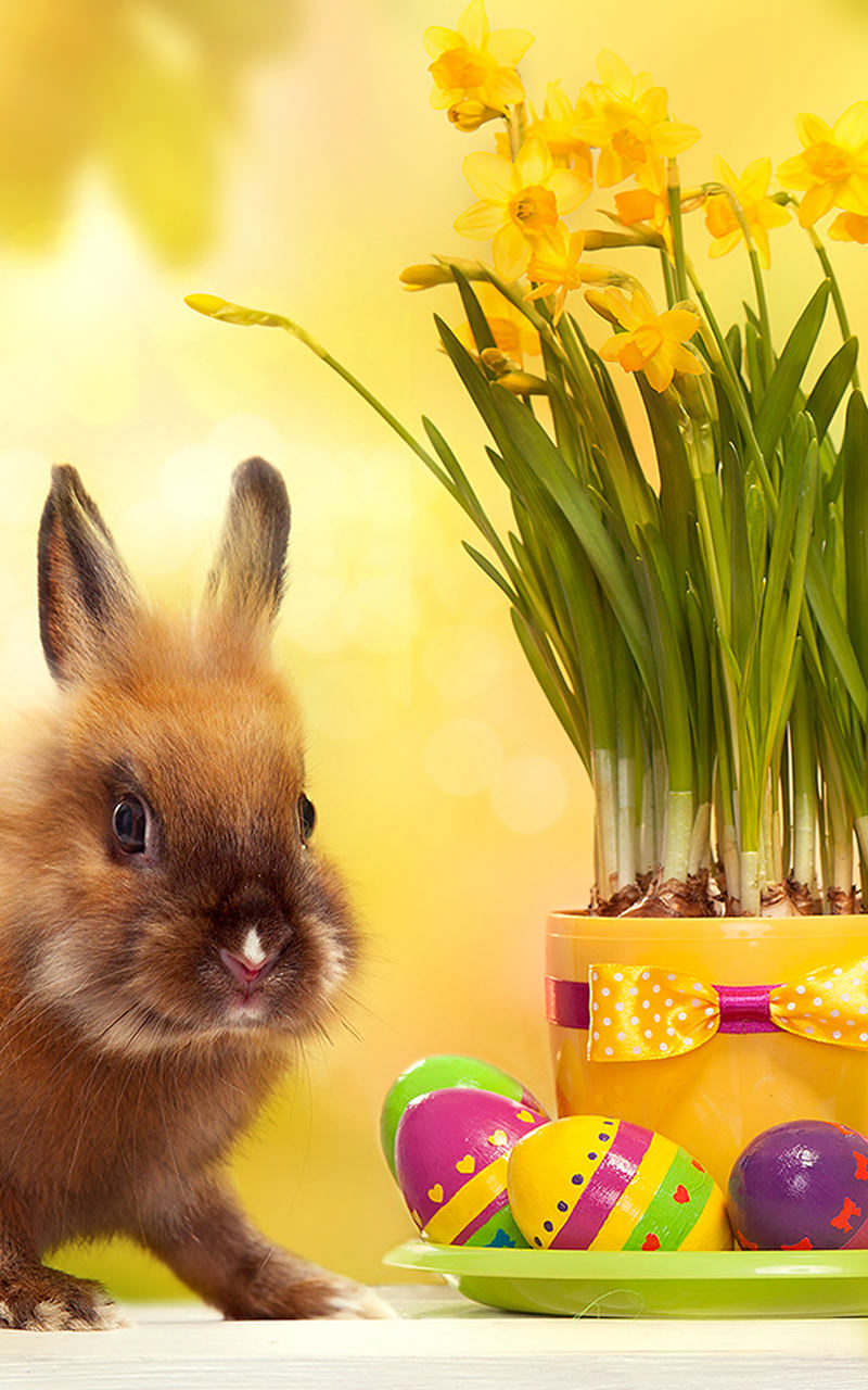 Easter Live Wallpaper - App on Amazon Appstore