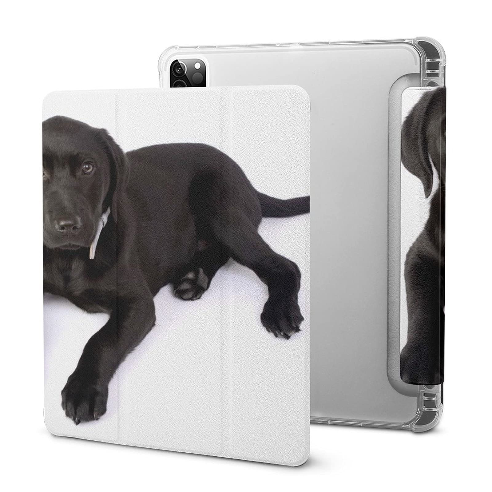 Are Black Labradors Protective