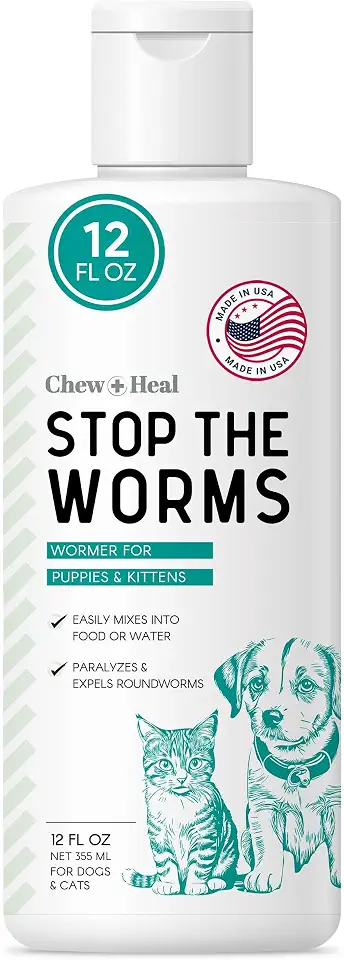 Pinworms In Dogs: Causes, Symptoms, And Treatment | PetShun
