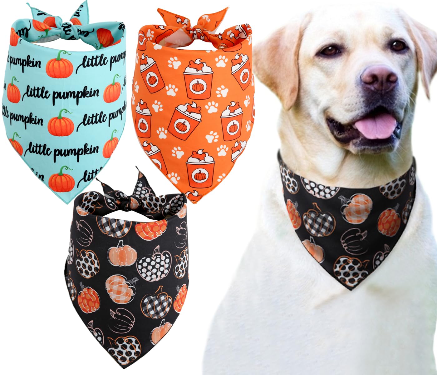 Amazon.com : Pumpkin Dog Bandana 3 Pack, Fall Dog Bandana Thanksgiving ...