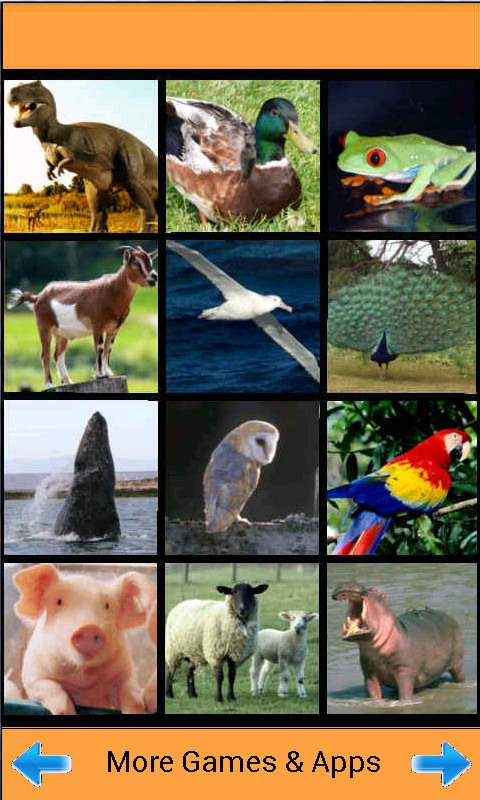 Zoo Sound Board - App on Amazon Appstore