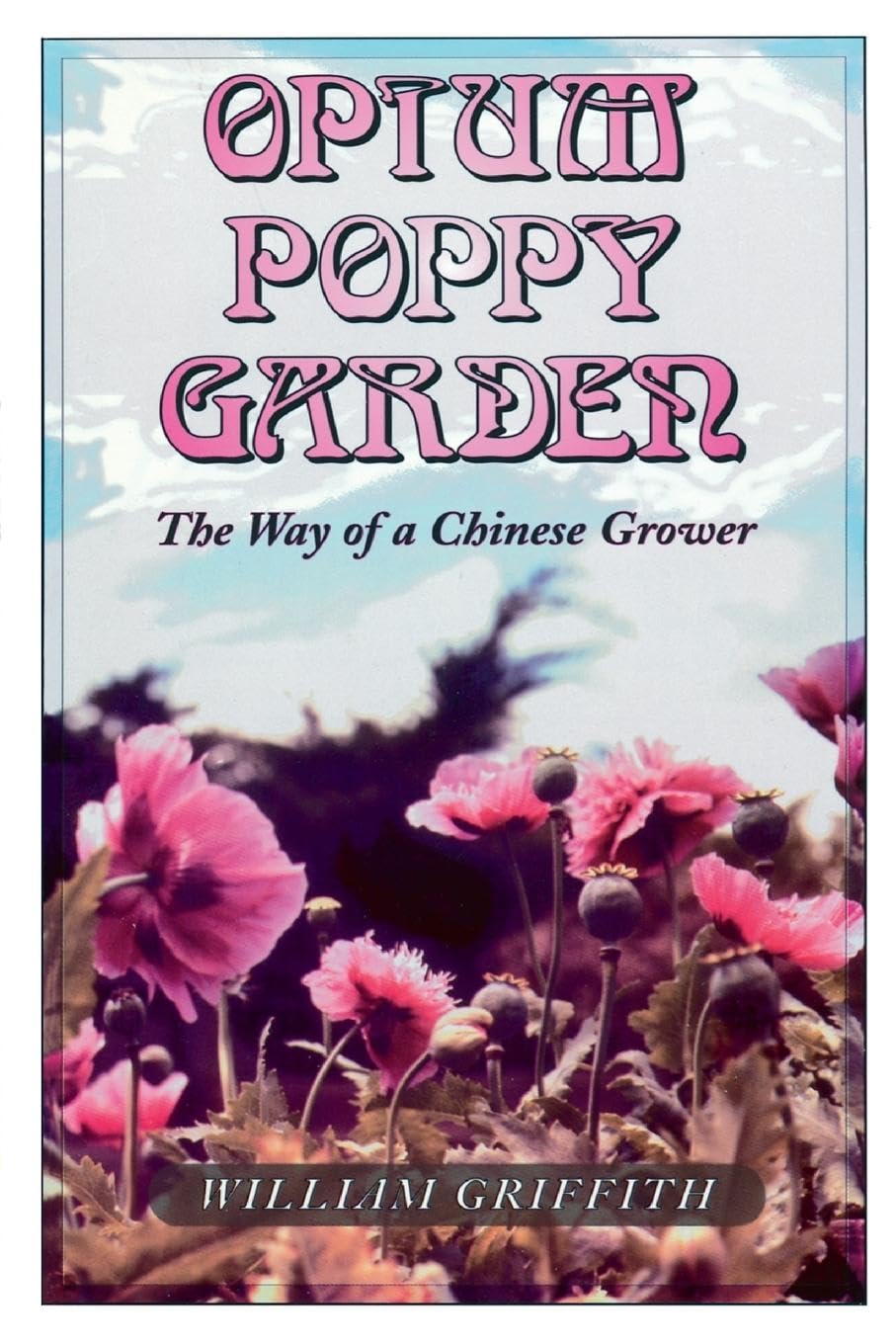 Snapklik.com : Opium Poppy Garden: The Way Of A Chinese Grower