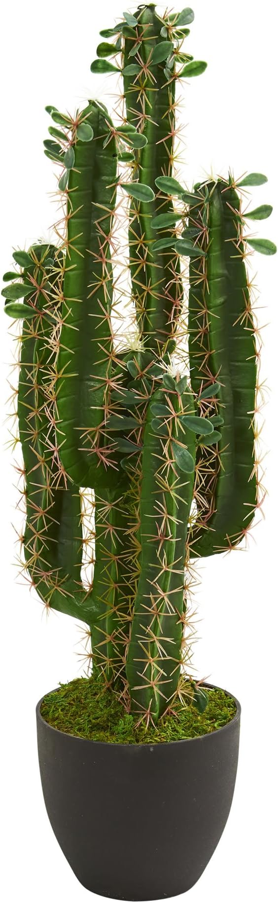 Amazon.com: Nearly Natural 2.5’ Cactus Artificial Plant, Green : Home ...