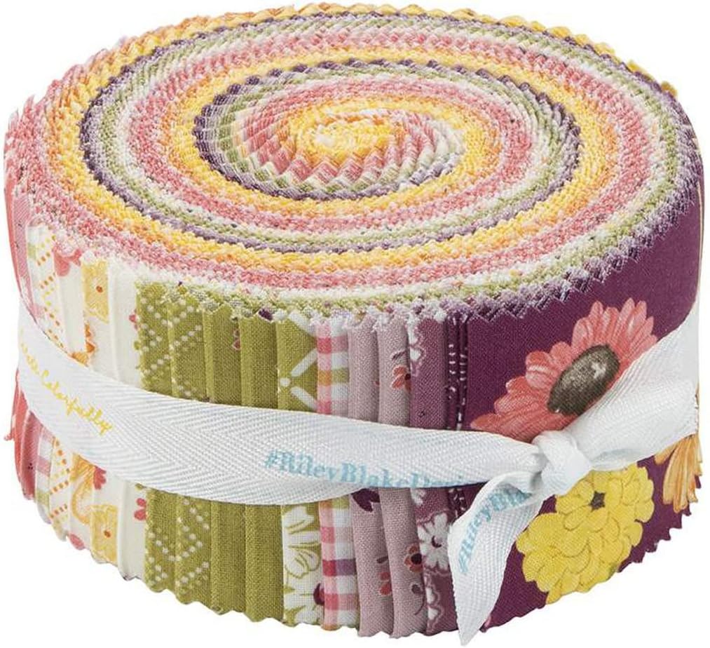 Amazon.com: Sandy Gervais Adel in Summer Rolie Polie 40 2.5-inch Strips ...