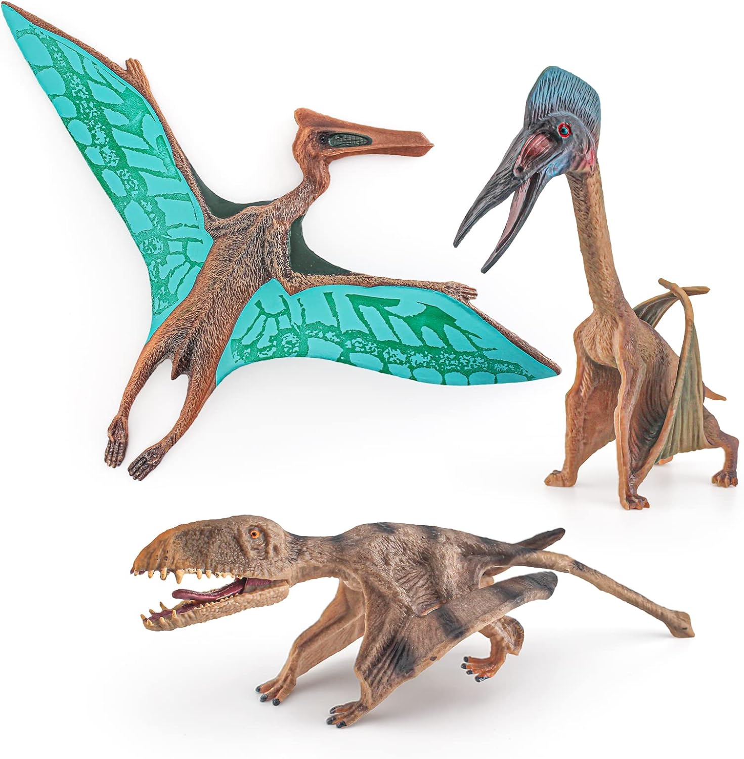 Amazon.com: GAICOM Dinosaur Model Toy Sets 3 PCS Pterodactyl Pterosaur ...