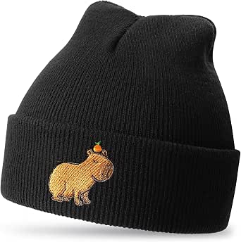 Jeasona Beanie Hat for Men and Women, One Size, Elastic, Classic Color ...