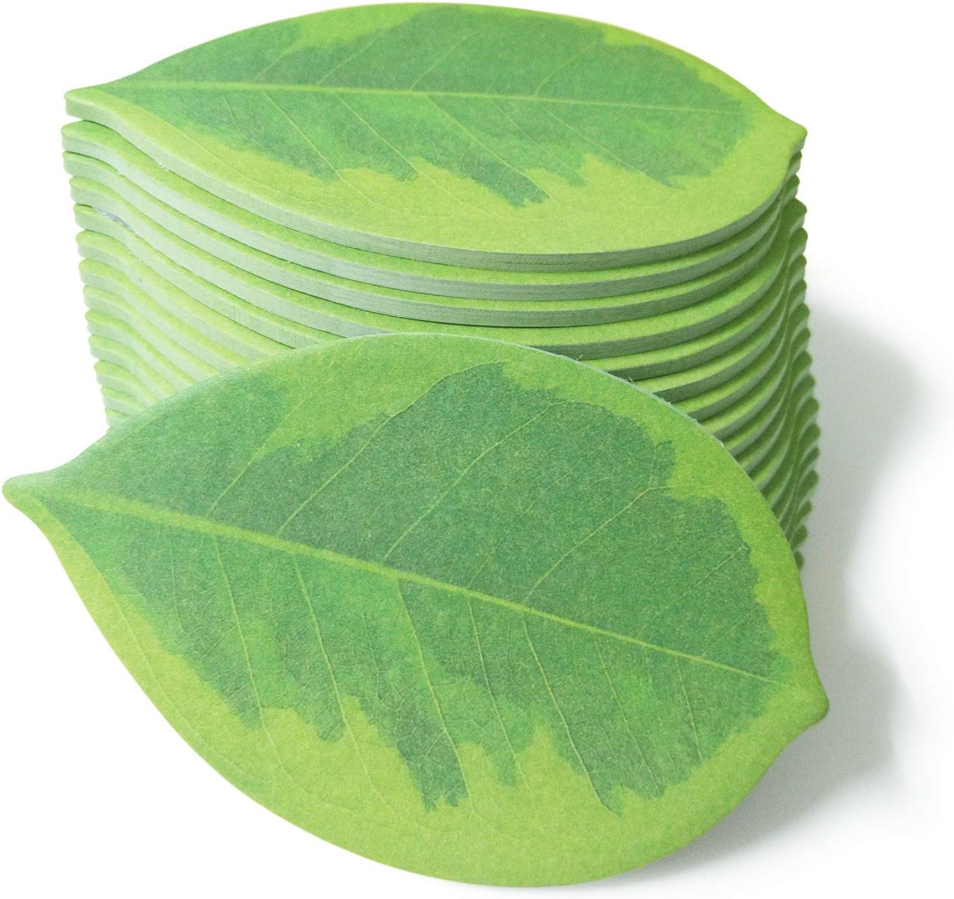 Amazon.com : Cute Tree Leaf Sticky Notes/Paper Memo Self-Adhesive Notes ...