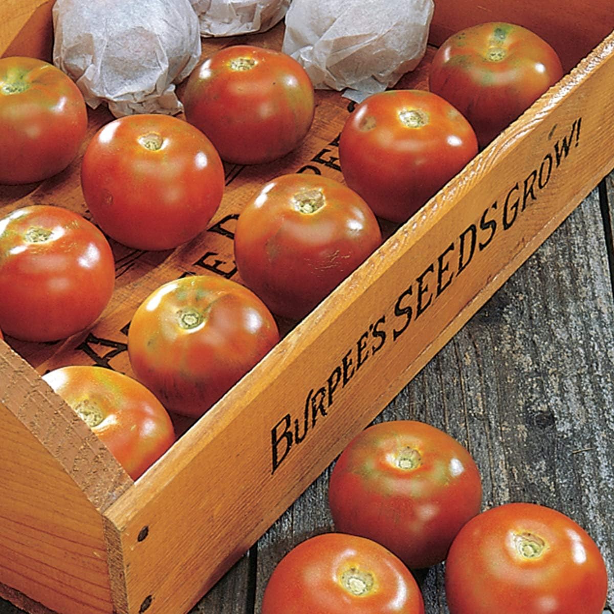 Amazon.com : Burpee 'Long-Keeper' | Red Winter Storage Tomato | 30 ...