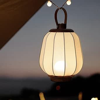ZenithLight Cordless Rechargeable Lanterns Table Lamp - LED Outdoor ...