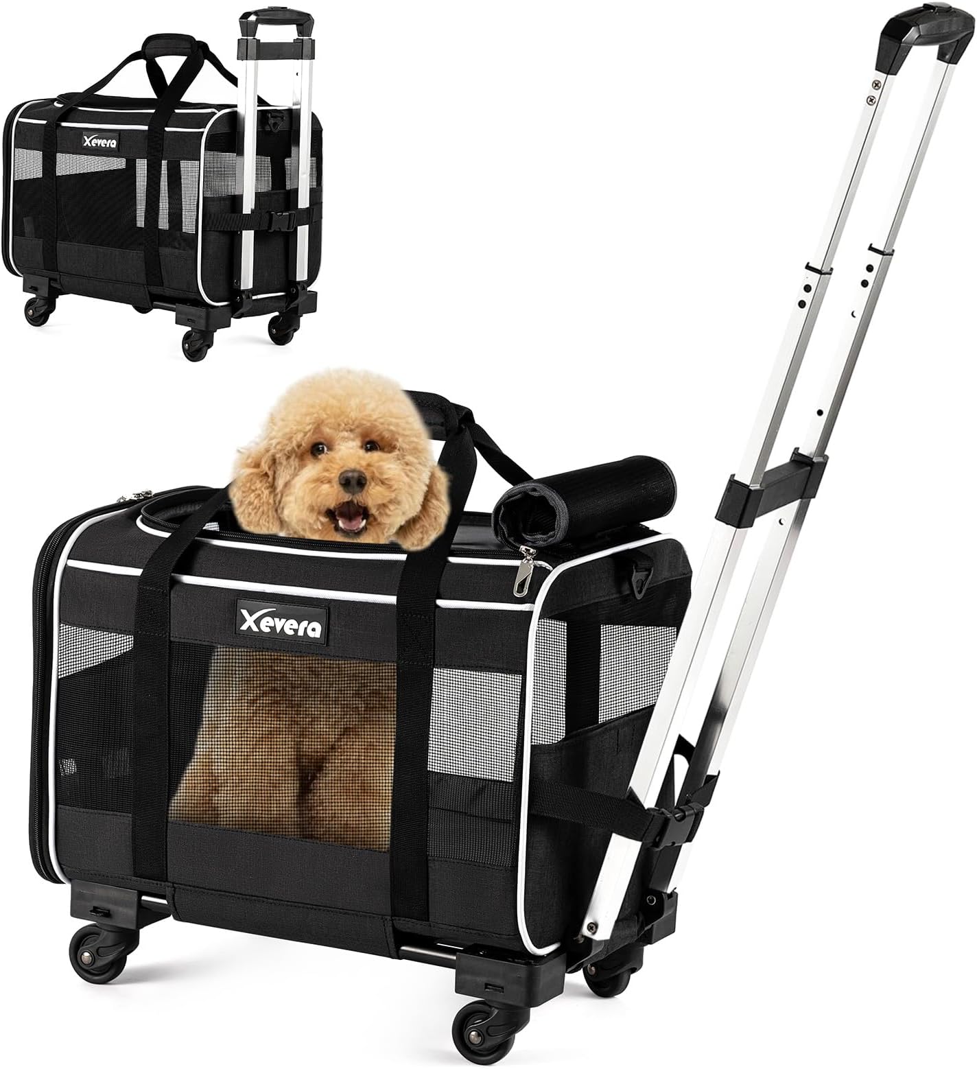 Amazon.com : Rolling Pet Carrier with Wheels, Foldable Airline Approved Dog Carriers for Small ...