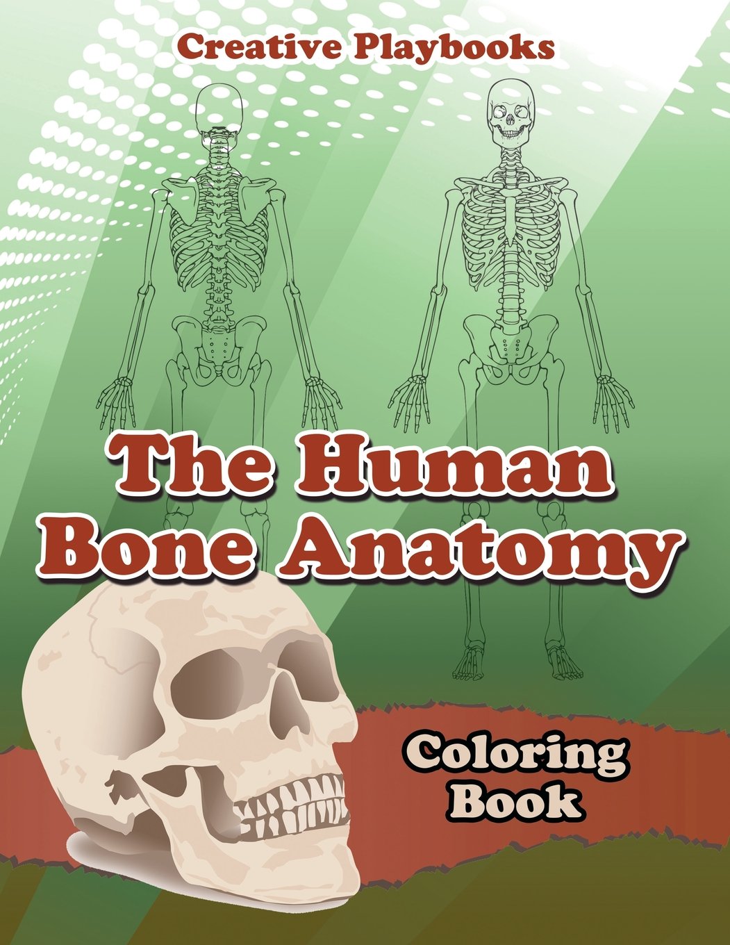 The Human Bone Anatomy Coloring Book: Playbooks, Creative ...
