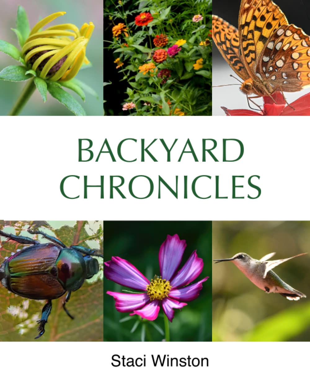 Amazon.com: Backyard Chronicles: 9780578328904: Winston, Staci Ann ...