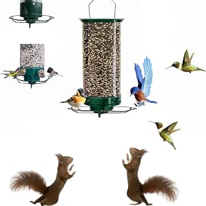 Amazon.com : Squirrel-Proof Spinning Wild Bird Feeder - Outdoor Hanging ...
