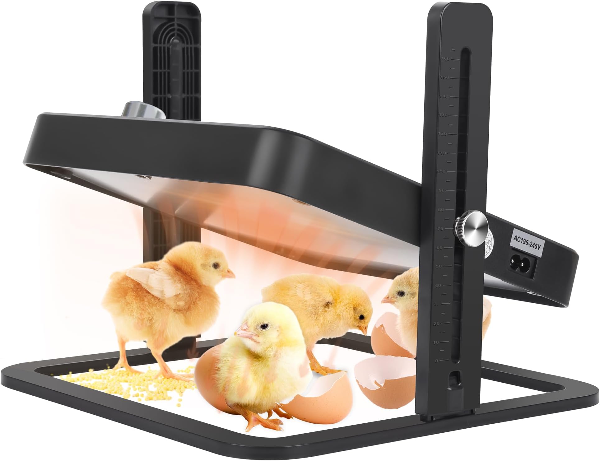 Amazon.com: Chick Brooder Heating Plate, Chicken Brooder with ...