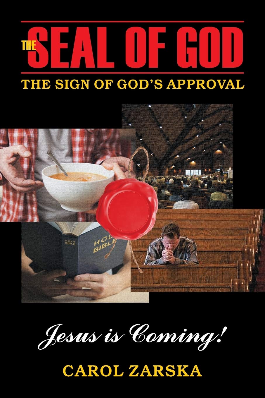 The Seal of God: The Sign of God's Approval: Zarska, Carol ...
