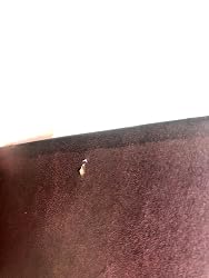 Amazon.com : Fromm 2" x 20" Razor Strop : Hair Removal Razor Strops ...