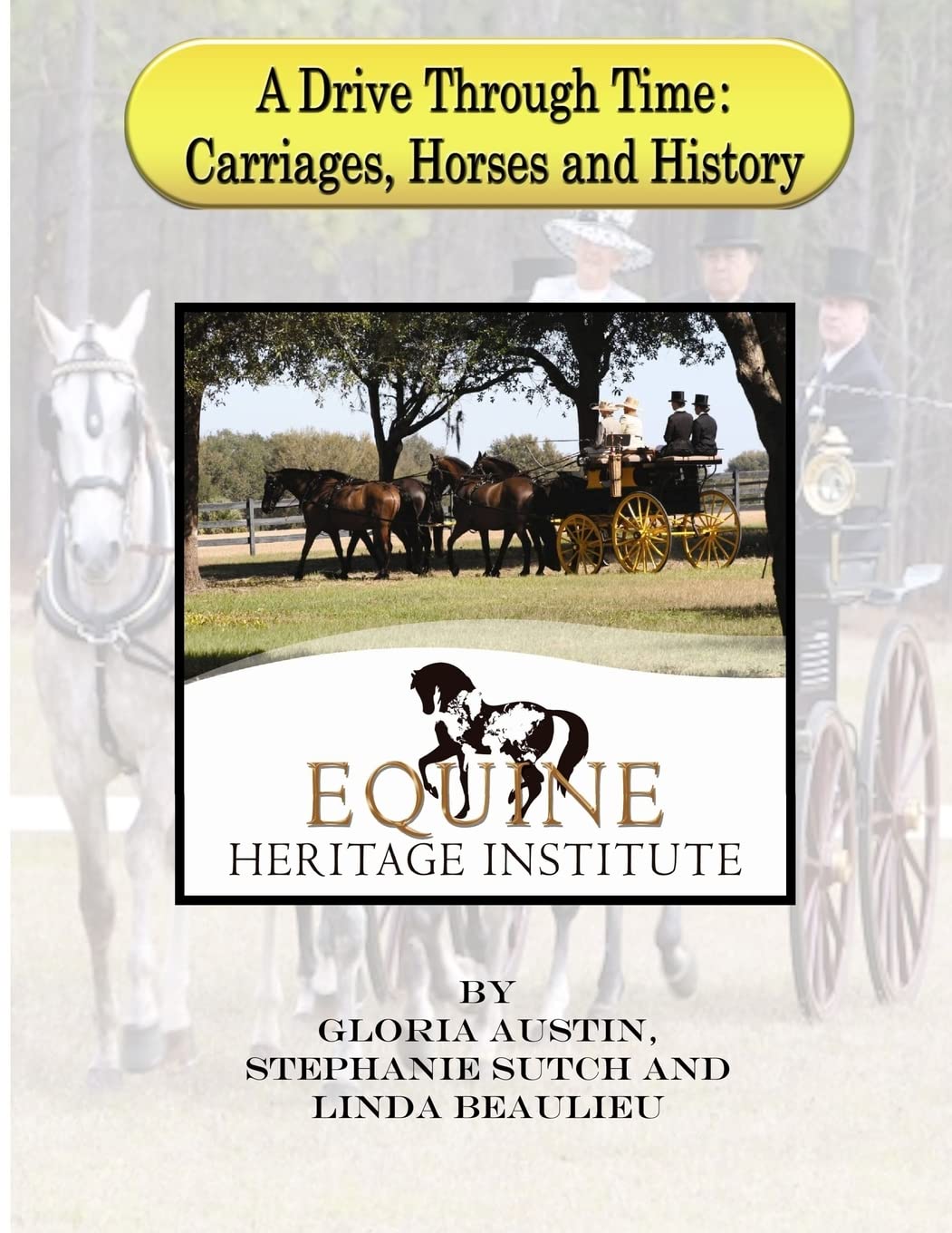 A Drive Through Time: Carriages, Horses, & History: Austin, Gloria ...
