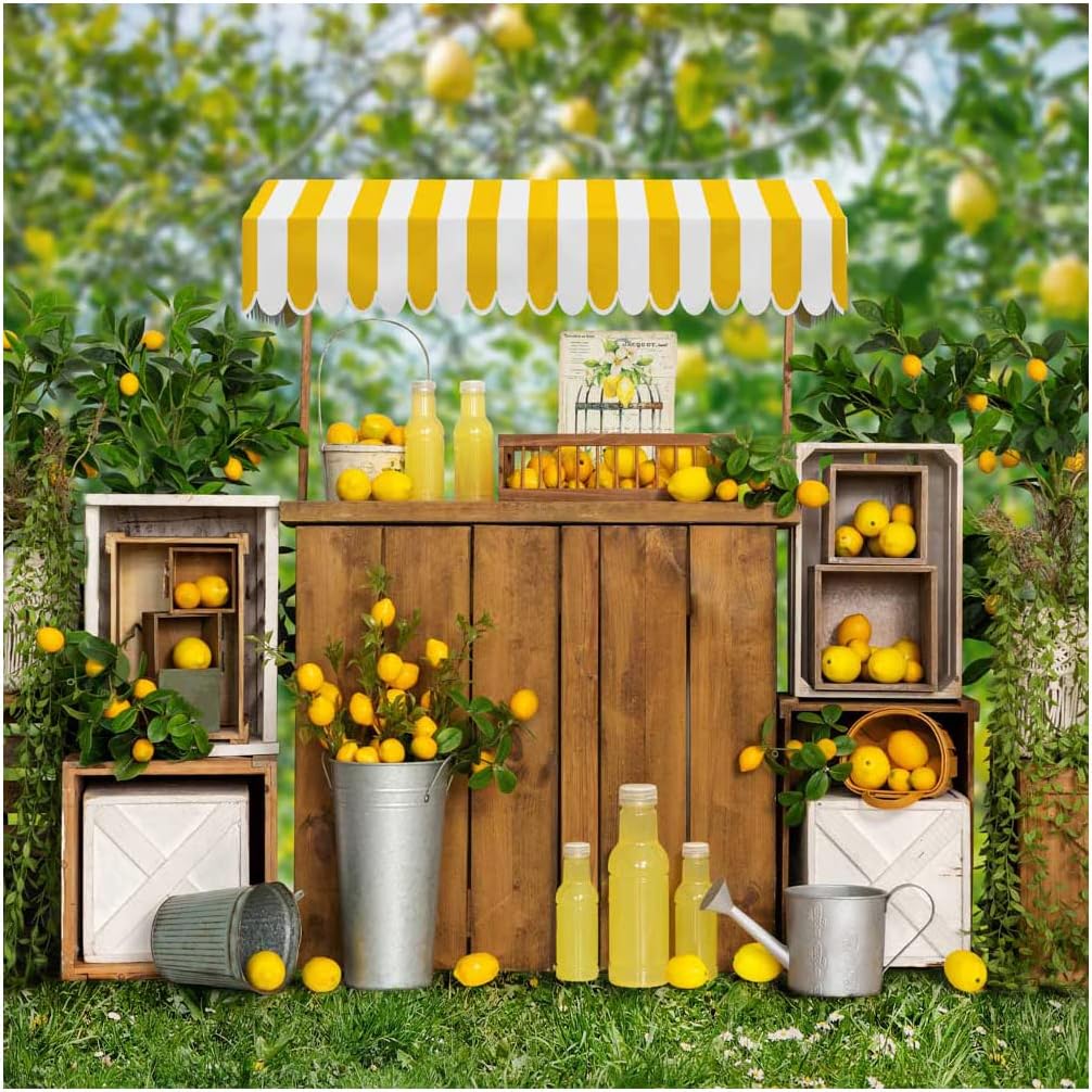 Amazon.com : Kate 6.5x6.5ft Summer Lemon Shop Backdrops for Photography ...