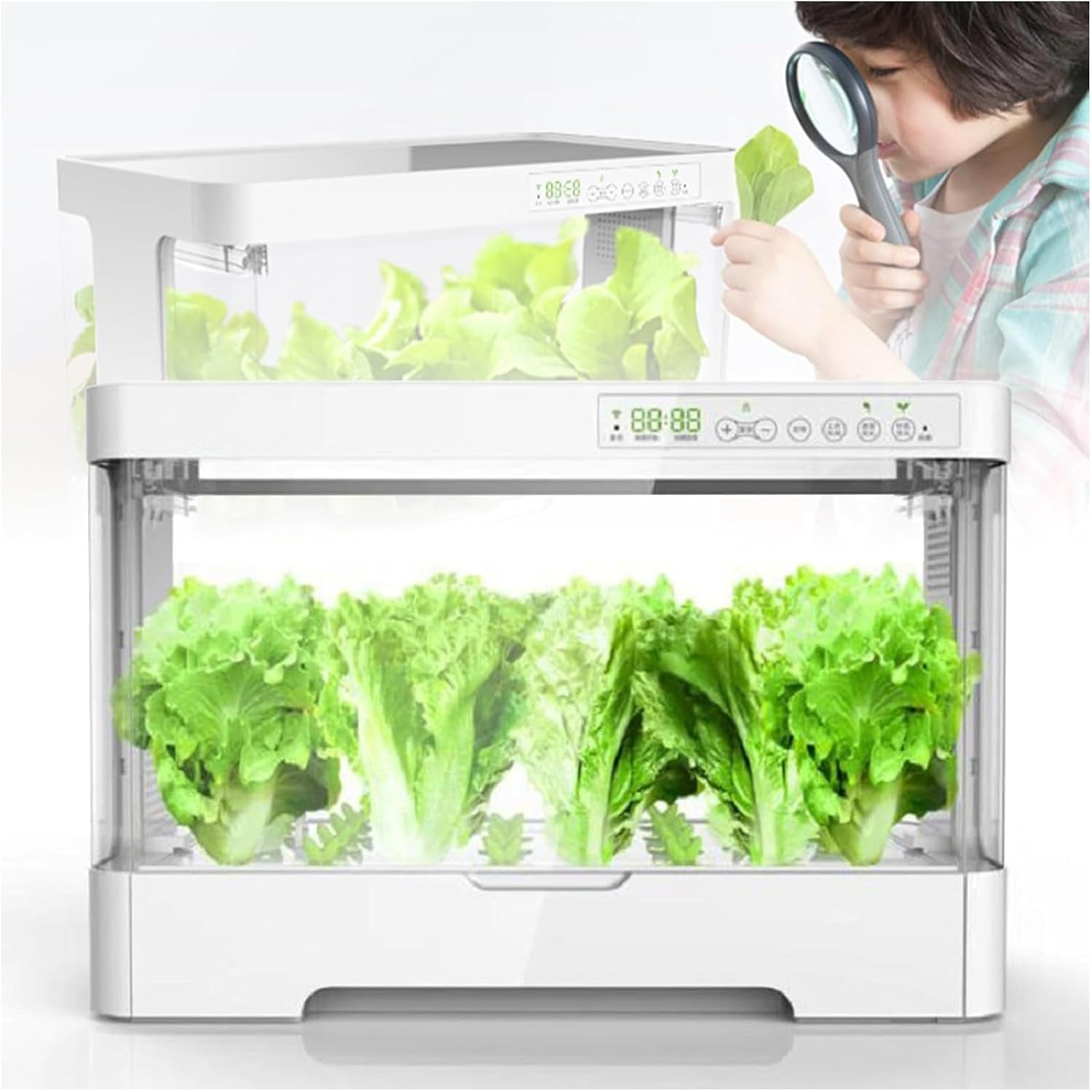 Amazon.com : Indoor Hydroponics System Indoor Garden 20W LED Grow Light ...