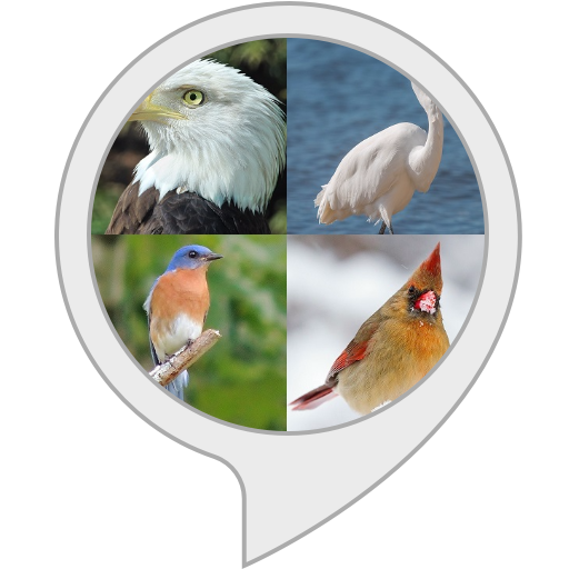 Amazon.com: U.S. Bird of the Day : Alexa Skills