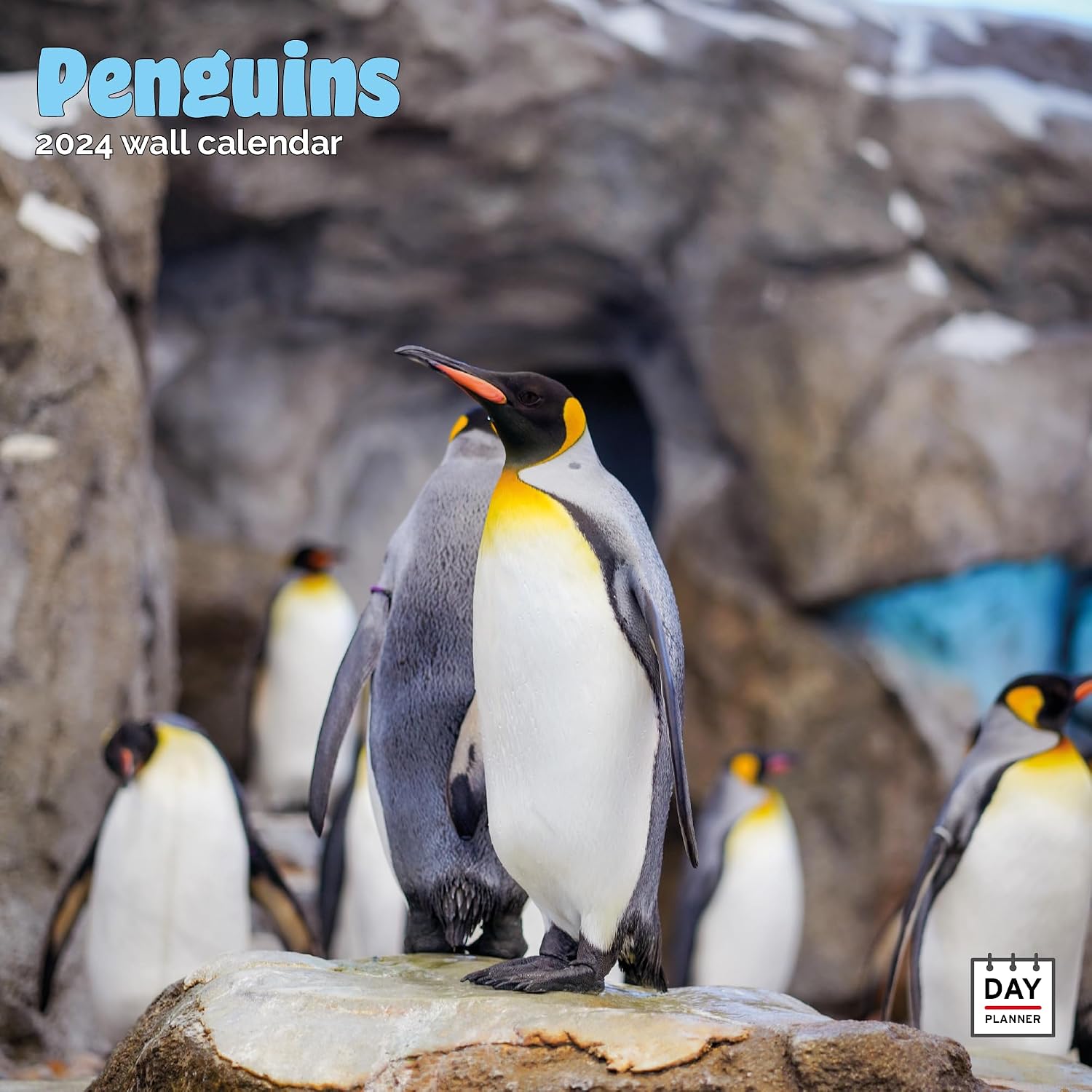 Penguins Calendar 2024 | Square Wall Calendar | 16 Months | Dayplanner ...