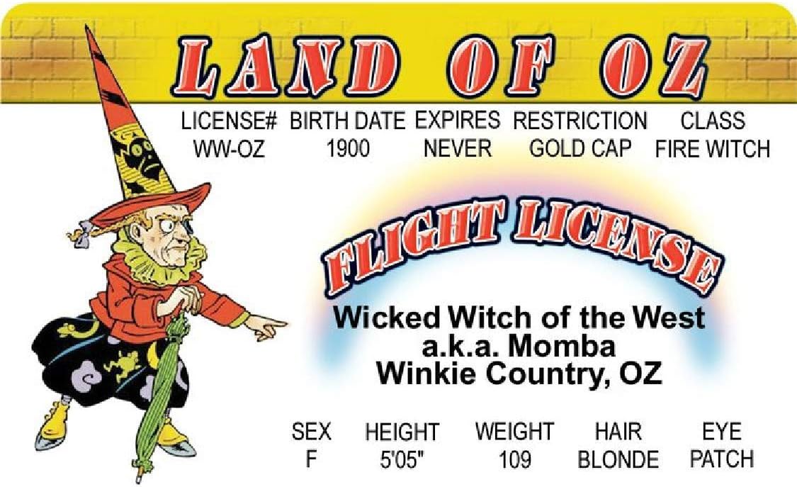 Amazon.com: Signs 4 Fun Parody ID | Wicked Witch Toon ID | Fake ID ...