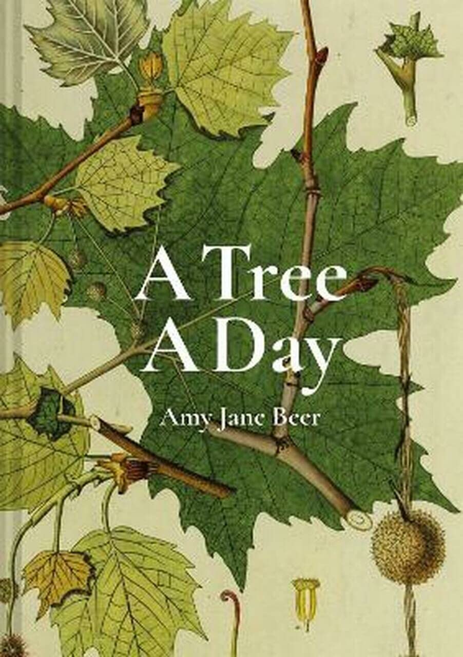 A Tree A Day: Amazon.co.uk: Beer, Amy-Jane: 9781849946520: Books