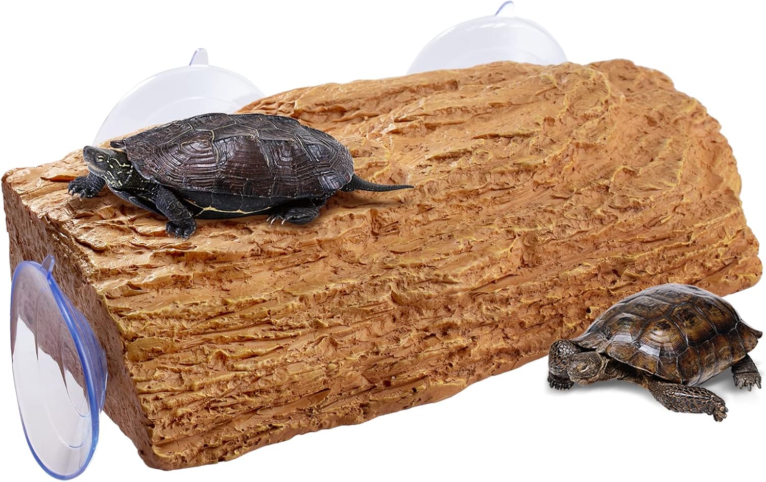 Amazon.com : CHERLAM Turtle Basking Platform, Turtle Dock Basking Area ...