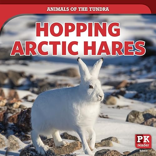 Arctic Hare Facts - Arctic Wildlife Knowledge