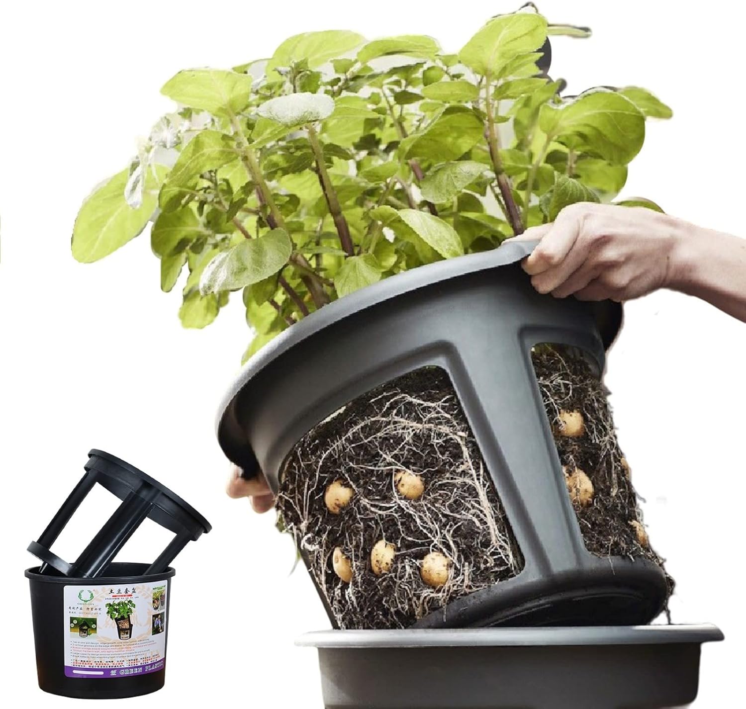 Amazon.com : IFPOTDD Potato Planting Pot observable Box Planting Bucket ...