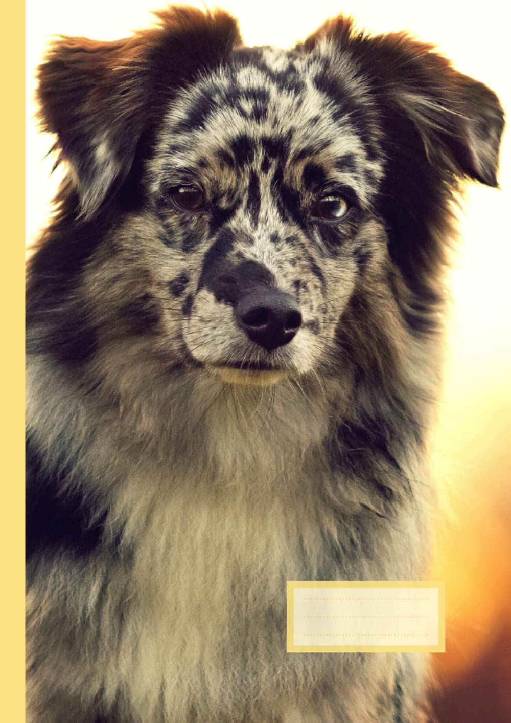 Schreibheft 2. Klasse A4 mit Hund: Schulheft mit Lineatur 2 auf 70 ...