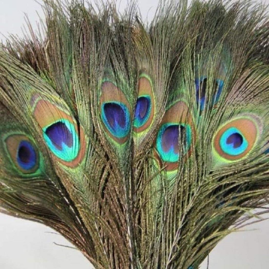 Rajmart Global Natural 5 Pcs Peacock Feathers for Temple Decoration ...