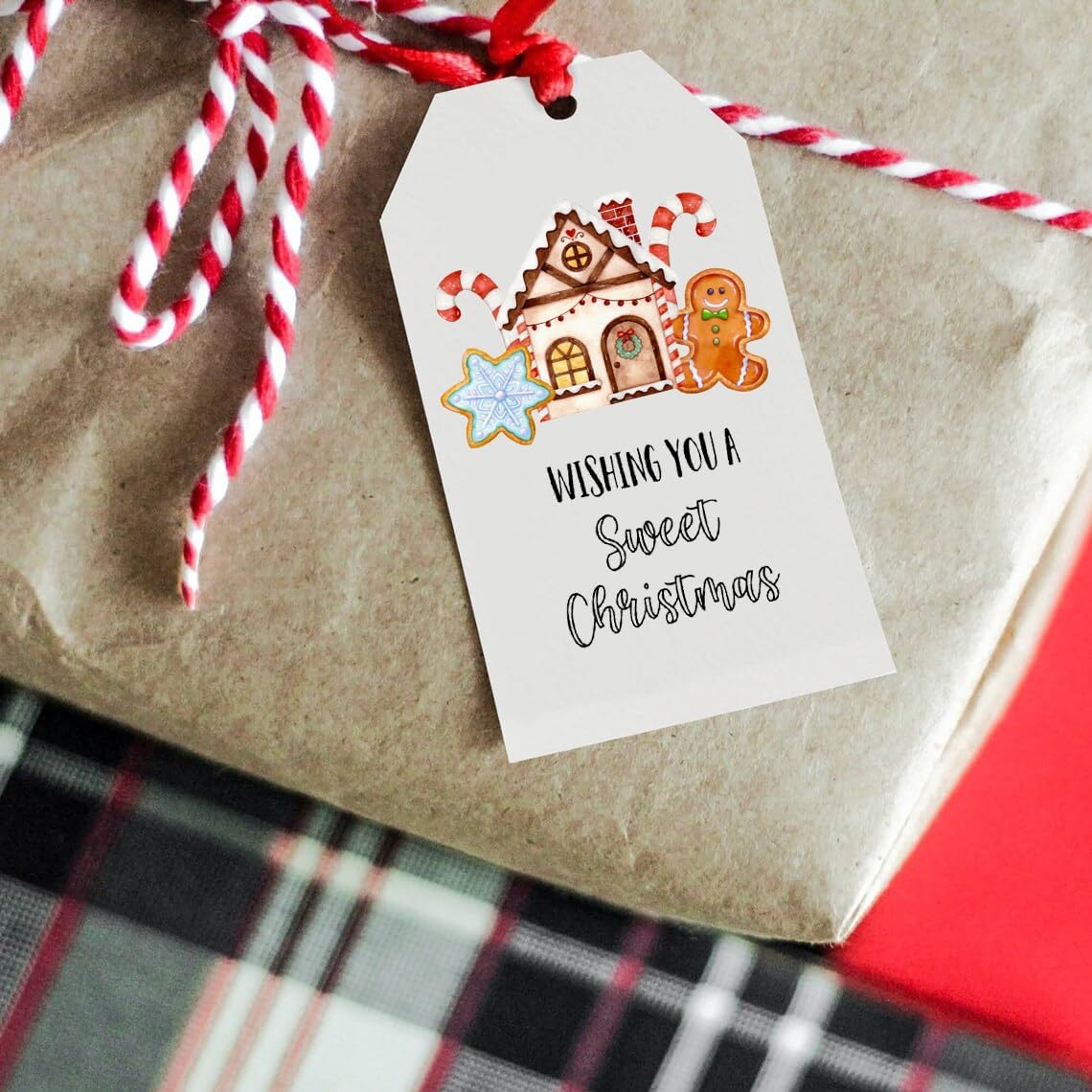 Amazon.com: Sweet Christmas Gift Tags for Womens Mens Kids Christmas ...