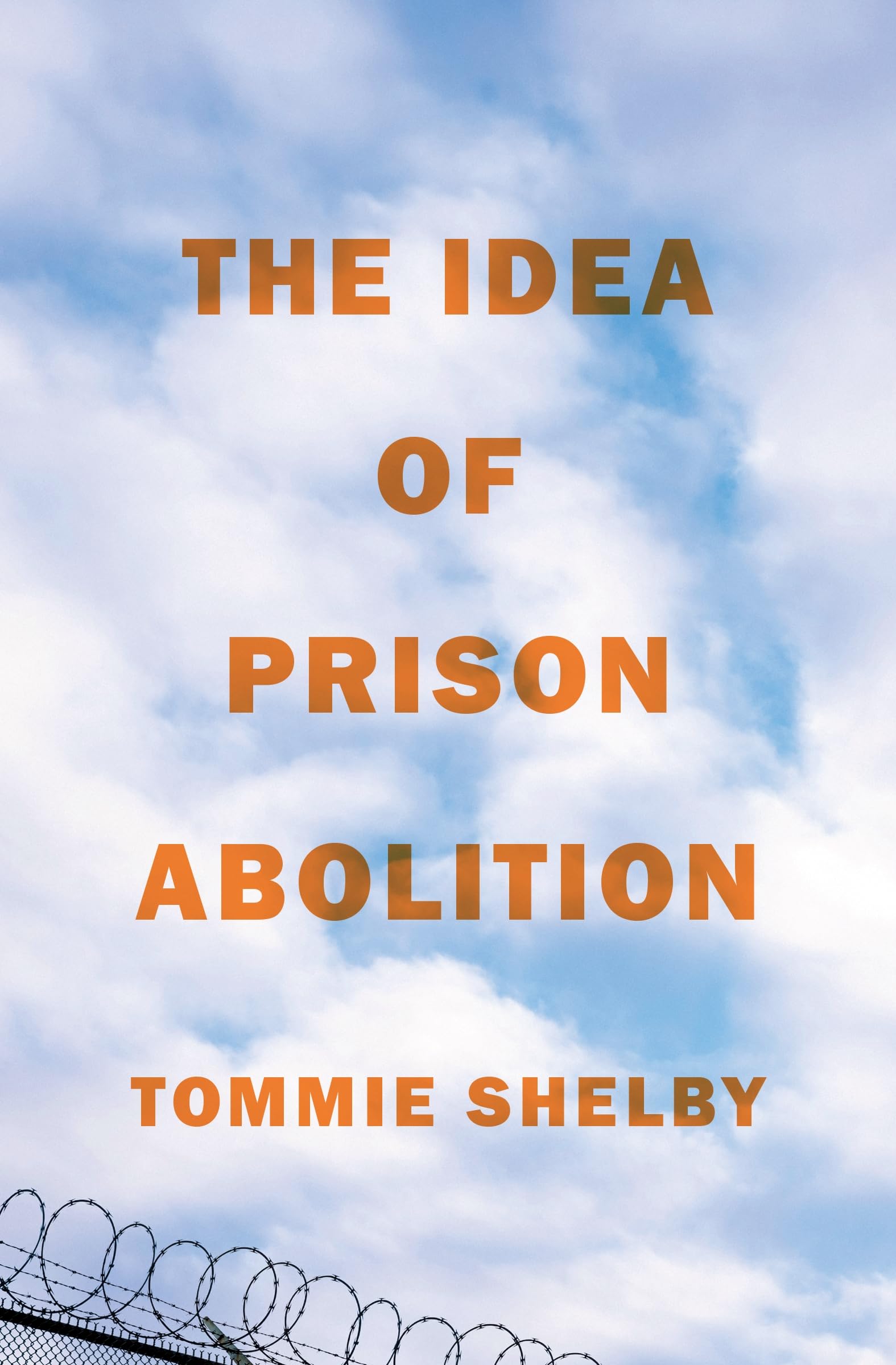 The Idea of Prison Abolition (Carl G. Hempel Lecture Series): Shelby ...